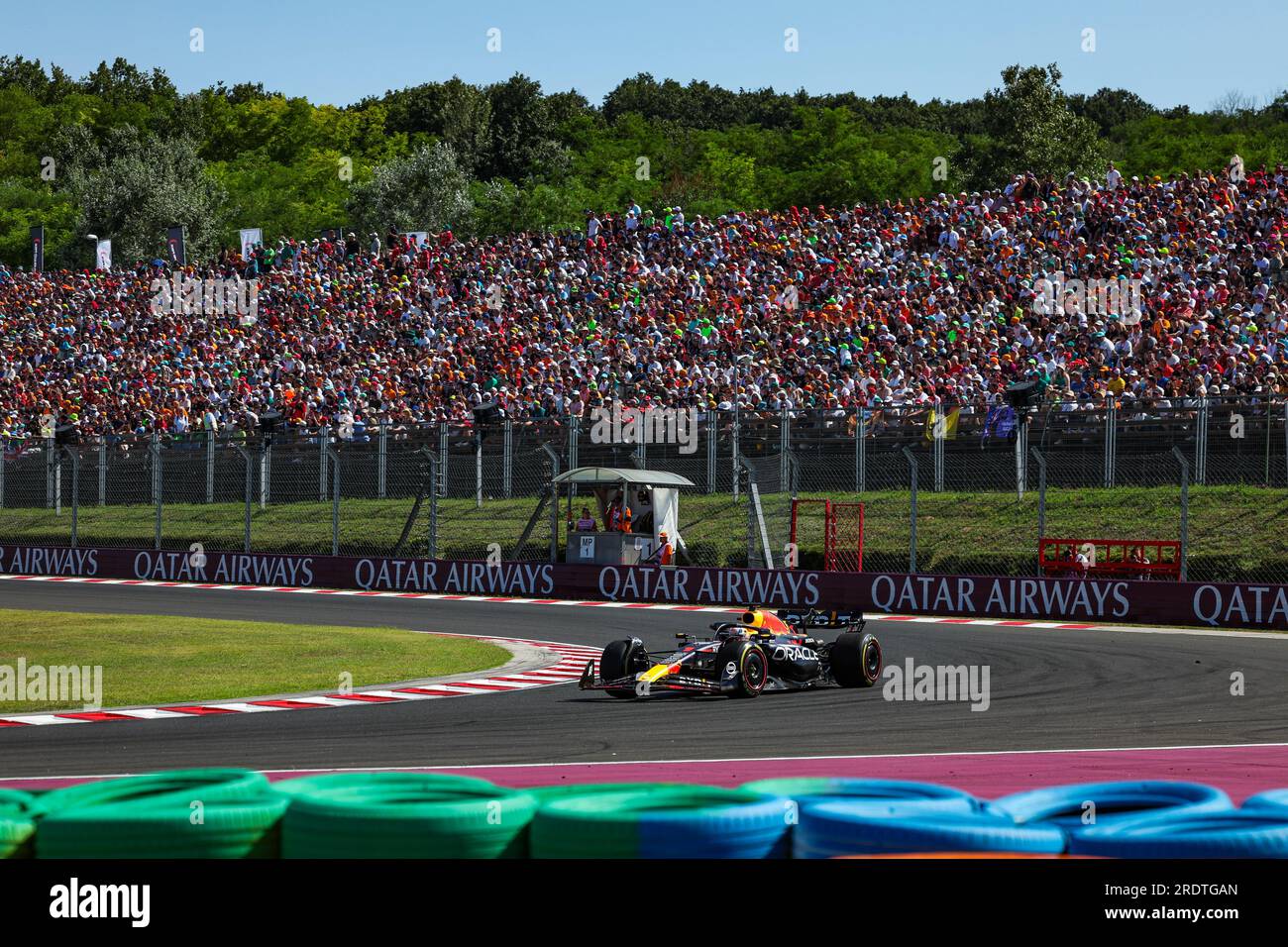 01 VERSTAPPEN Max (nld), Red Bull Racing RB19, Action während des ...