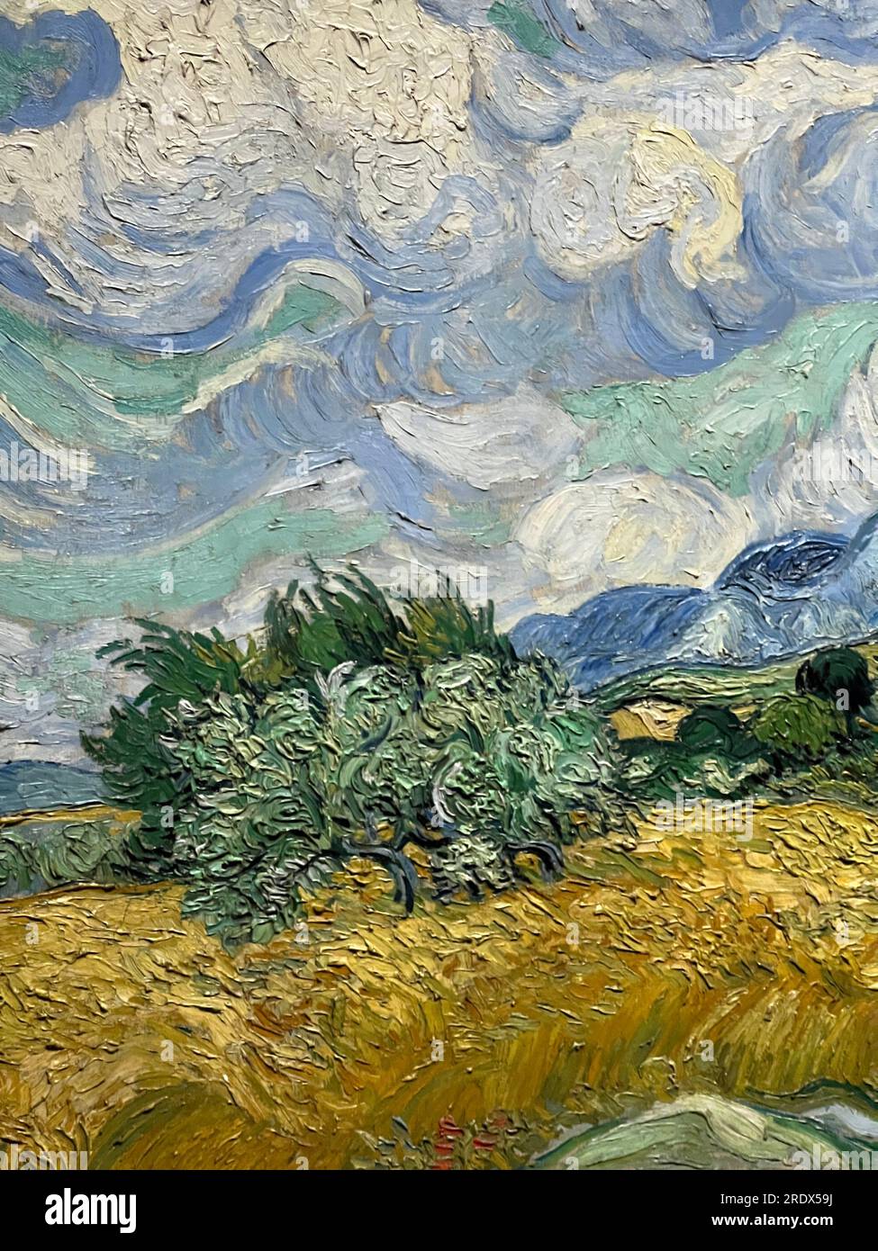 Van goghs zypressen -Fotos und -Bildmaterial in hoher Auflösung – Alamy