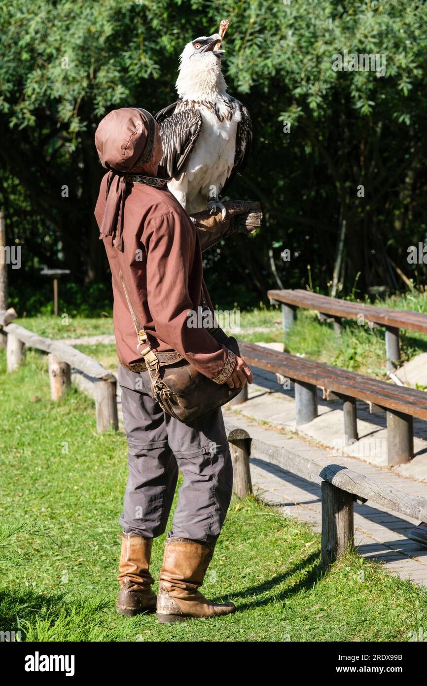 Einen knochen schlucken -Fotos und -Bildmaterial in hoher Auflösung – Alamy