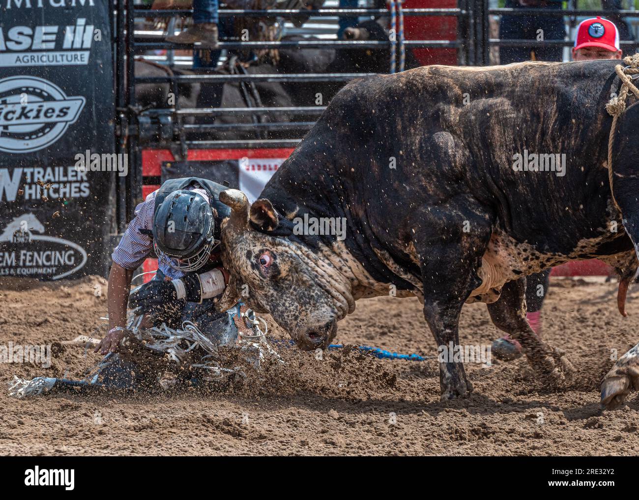Canada Rodeo. ERIN ONTARIO RAM RODEO - am 22-23. Juli fand in Erin ...