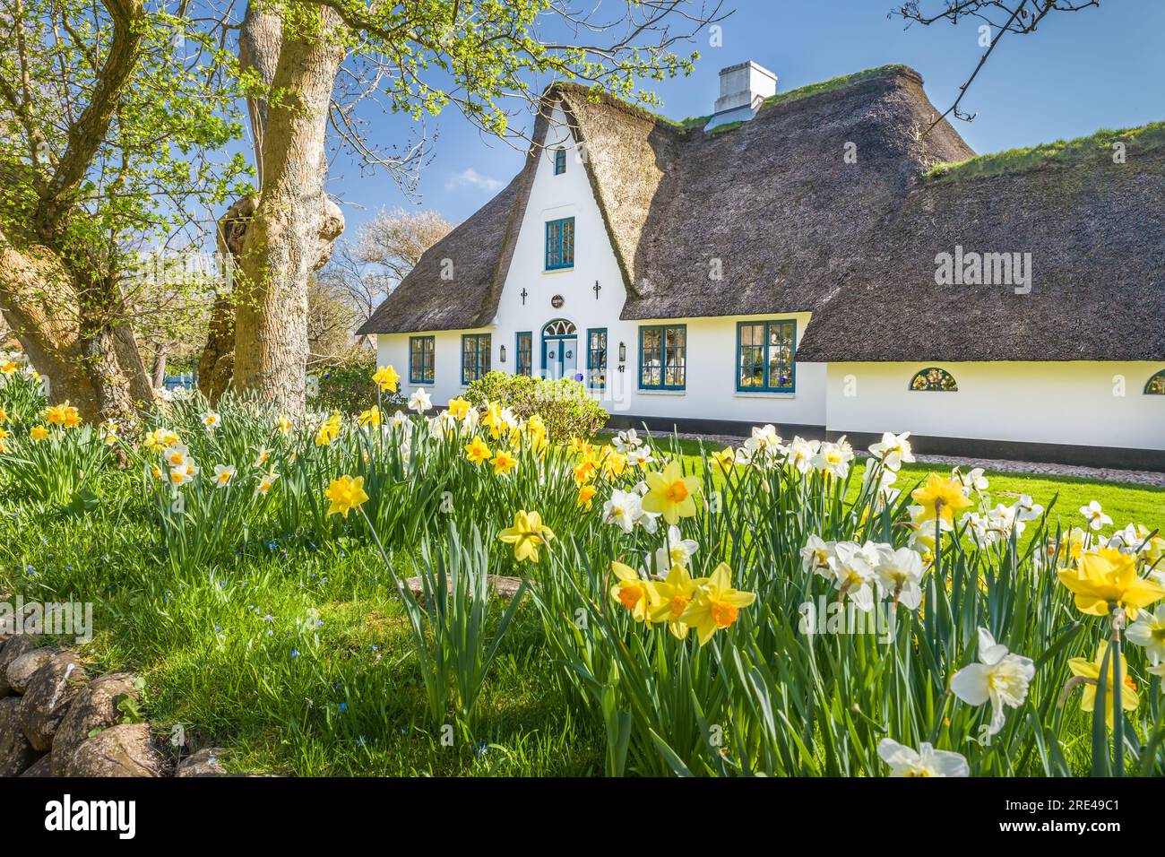 Sylt keitum reetdachhäuser -Fotos und -Bildmaterial in hoher Auflösung ...