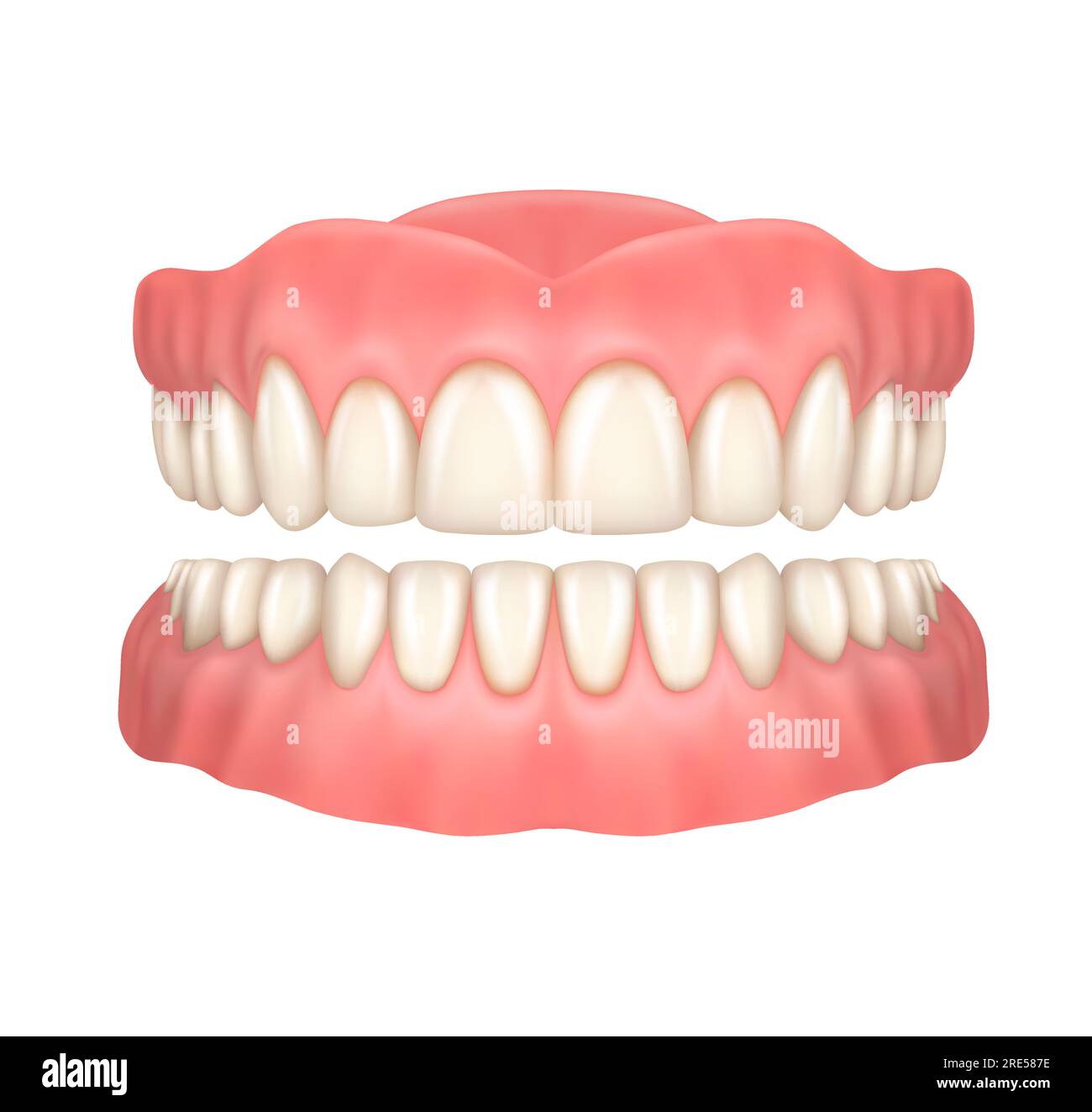 Komplette prothese Stock-Vektorgrafiken kaufen - Alamy