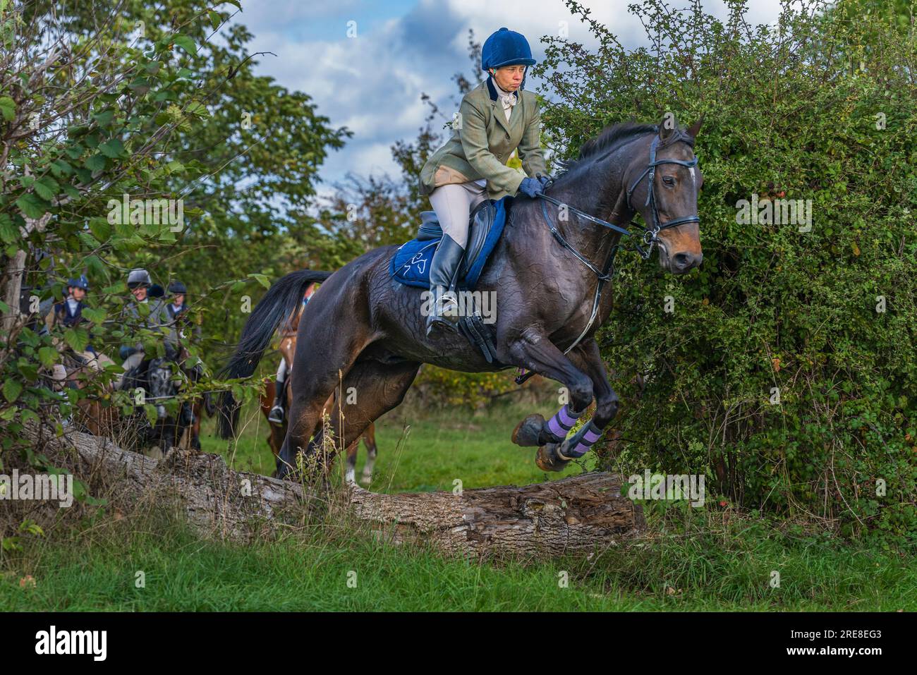 Einen baumstamm springen -Fotos und -Bildmaterial in hoher Auflösung ...