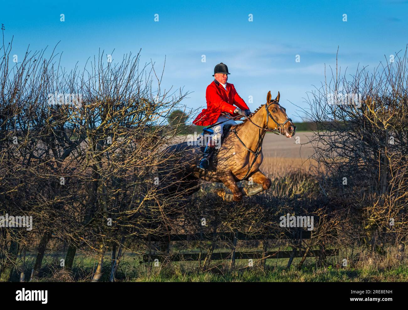 Hecken springen -Fotos und -Bildmaterial in hoher Auflösung – Alamy