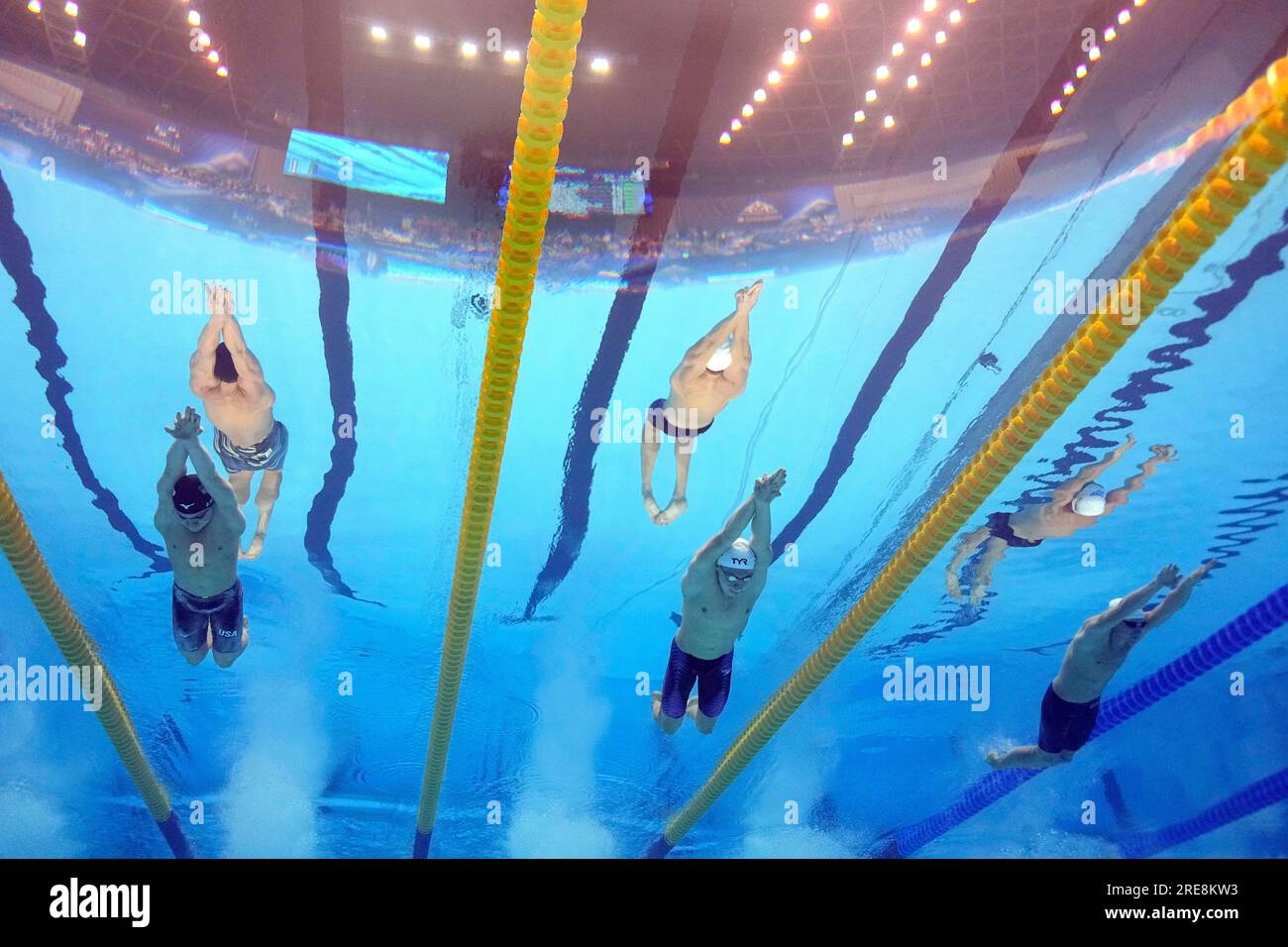 From left to right, Carson Foster, of the United States, Leon Marchand ...