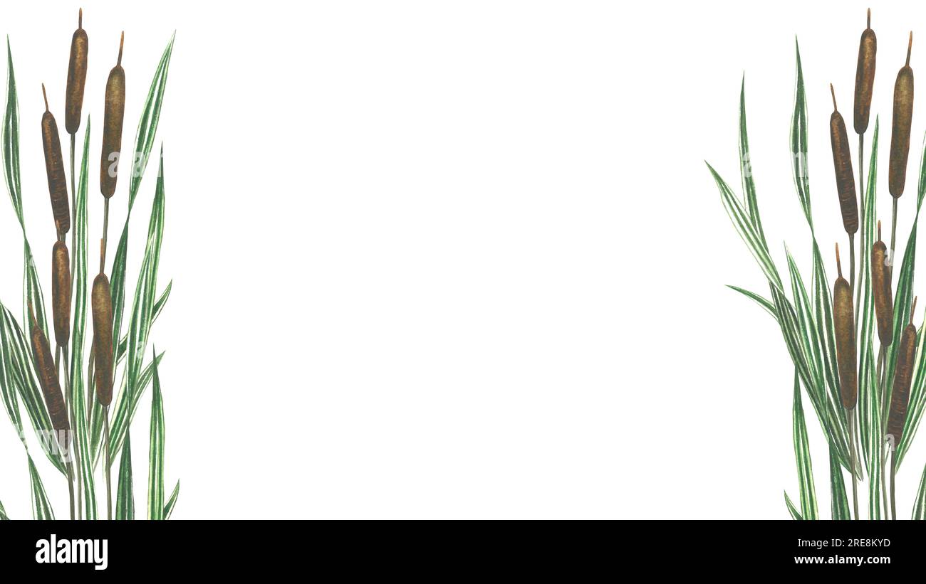 Reed logo -Fotos und -Bildmaterial in hoher Auflösung – Alamy