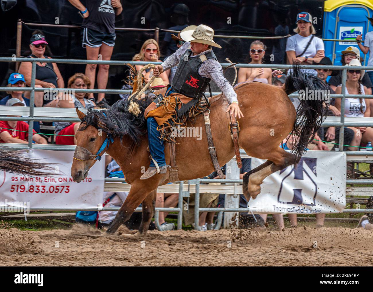 Rodeo stierreiten -Fotos und -Bildmaterial in hoher Auflösung – Alamy