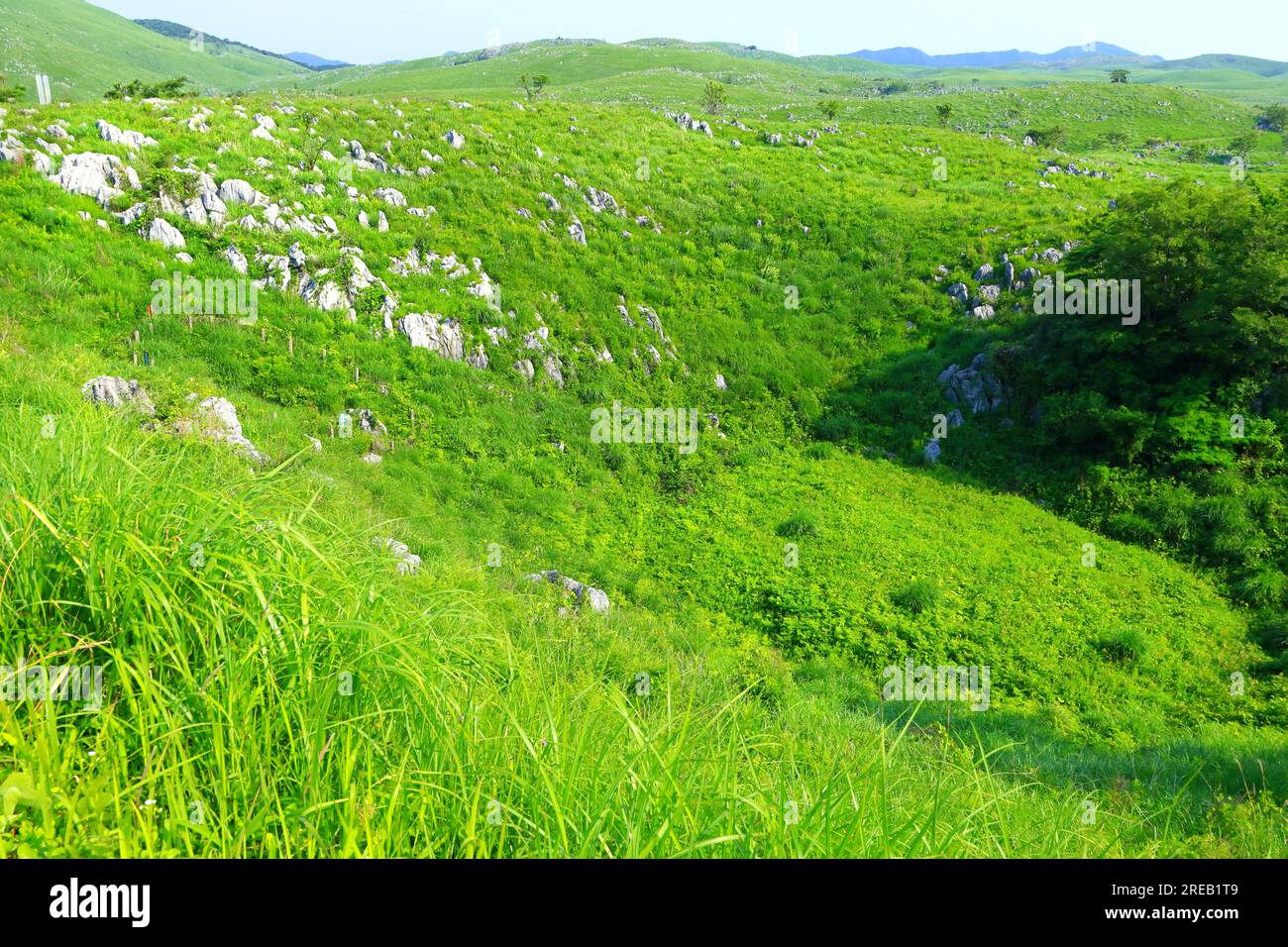 Karst landform -Fotos und -Bildmaterial in hoher Auflösung – Alamy
