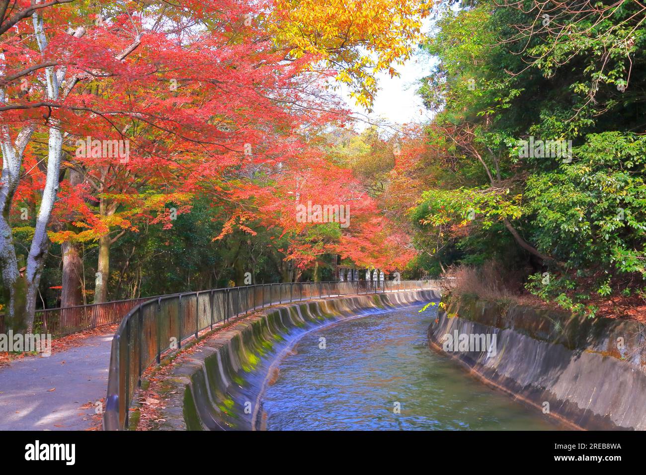 Yamashina canal -Fotos und -Bildmaterial in hoher Auflösung – Alamy
