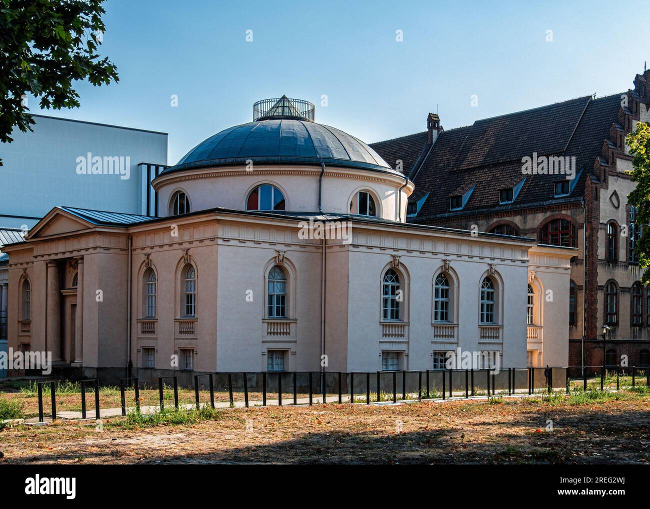 Veterinary anatomy -Fotos und -Bildmaterial in hoher Auflösung – Alamy