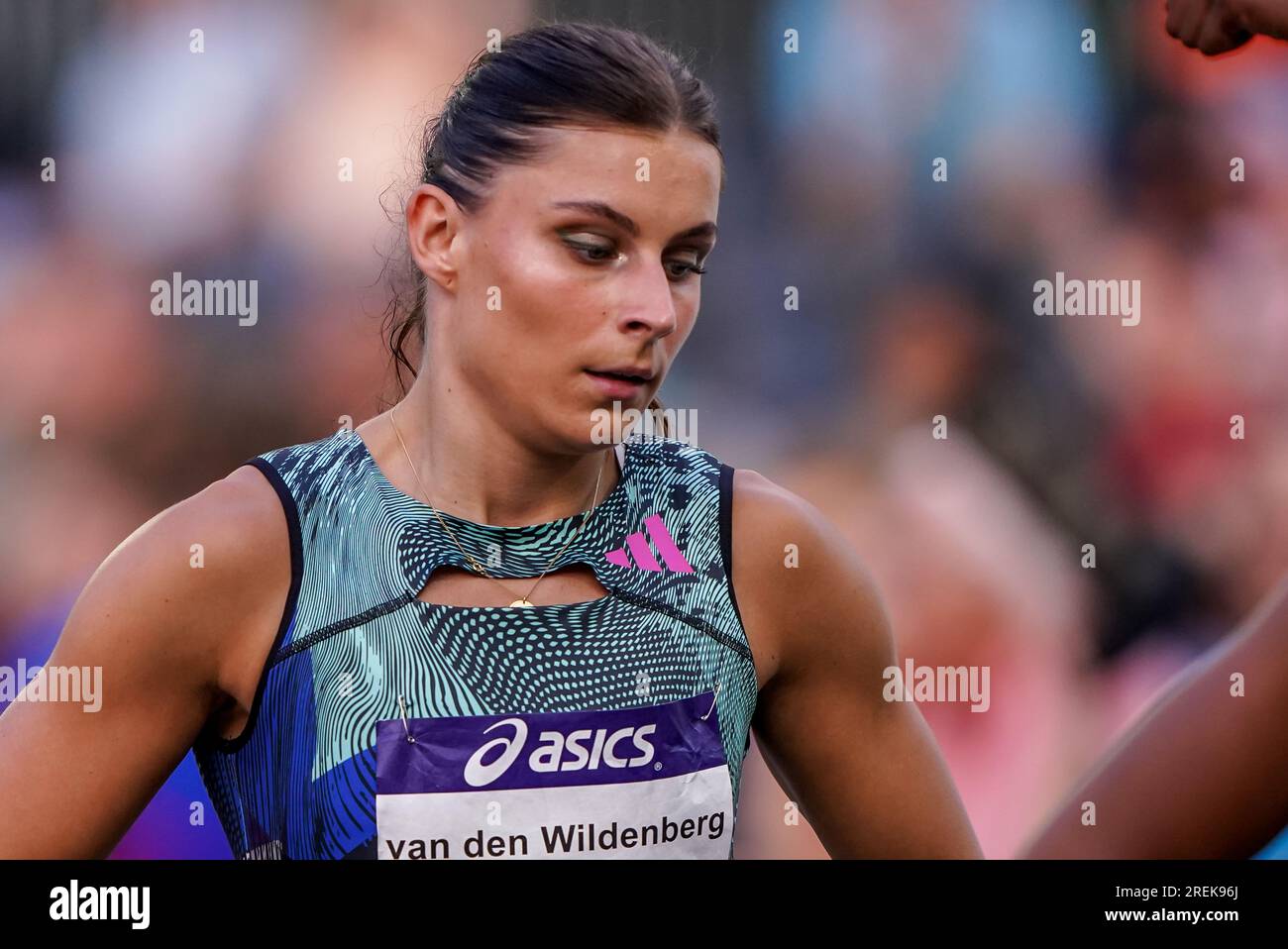 Demi van den wildenberg -Fotos und -Bildmaterial in hoher Auflösung – Alamy