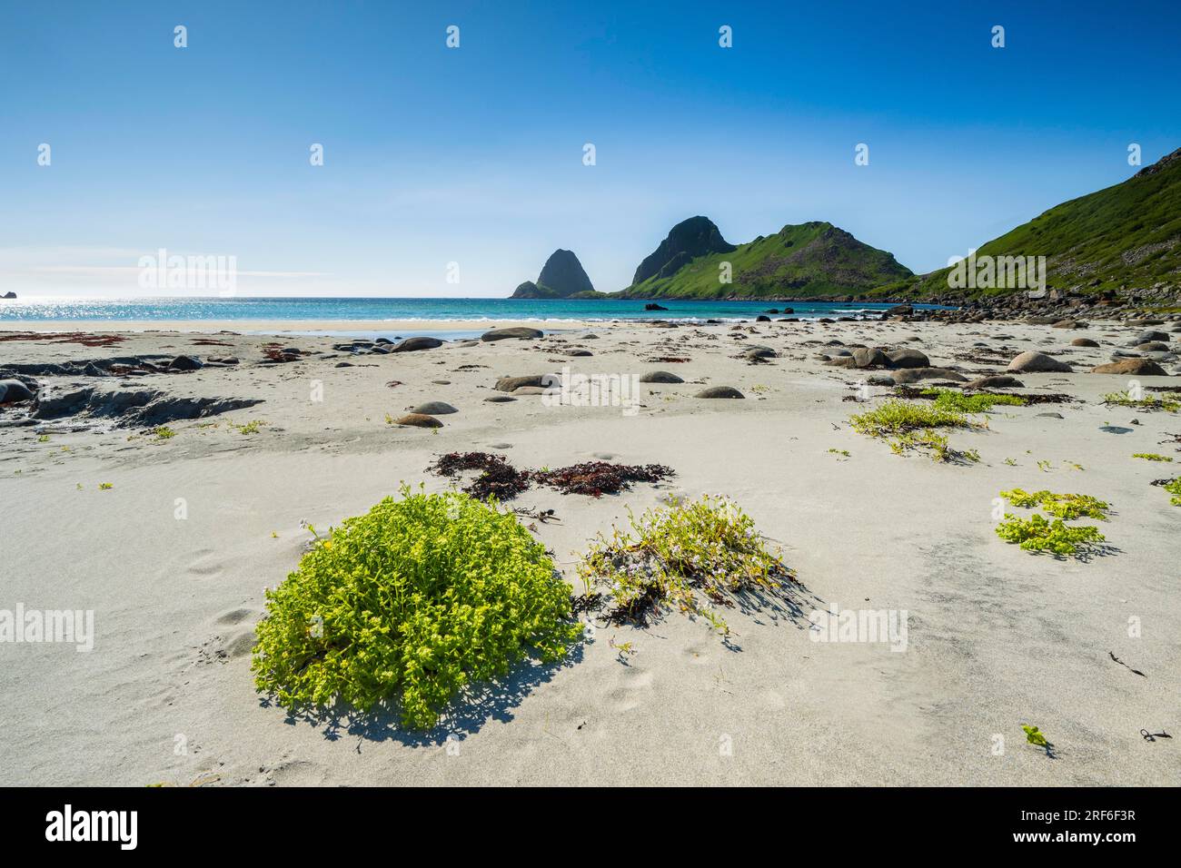 Sandvika Beach in der Nähe von Nykvag, Langoya Island, Vesteralen ...