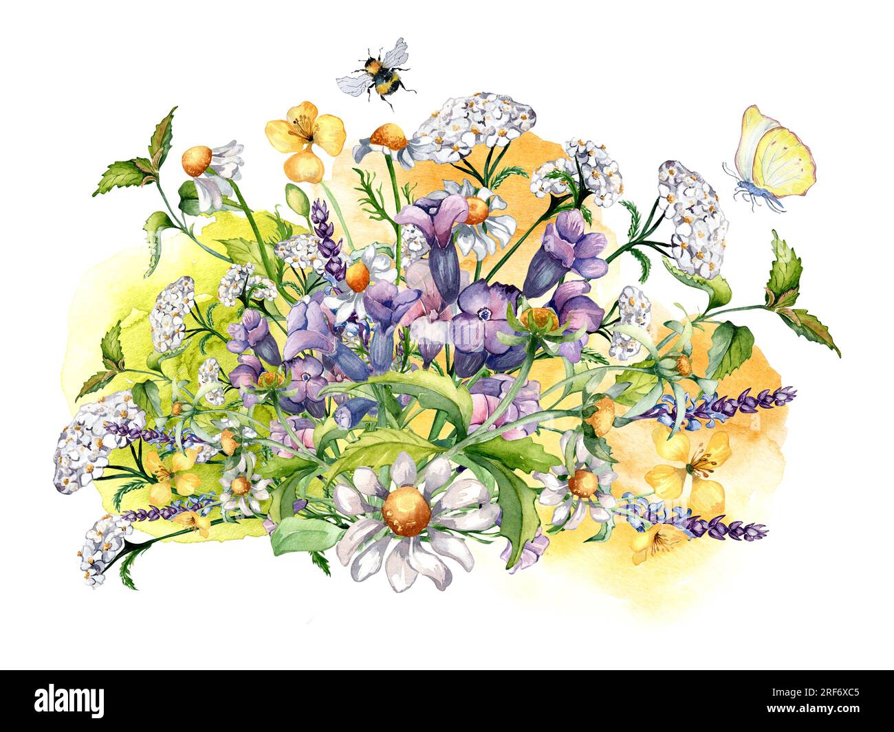 Schmetterling auf brennnessel Ausgeschnittene Stockfotos und -bilder - Alamy