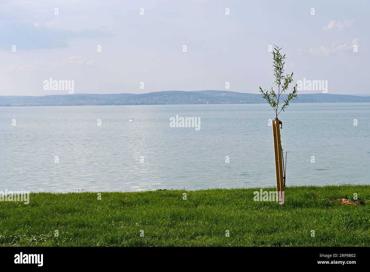 Balaton lake -Fotos und -Bildmaterial in hoher Auflösung – Alamy