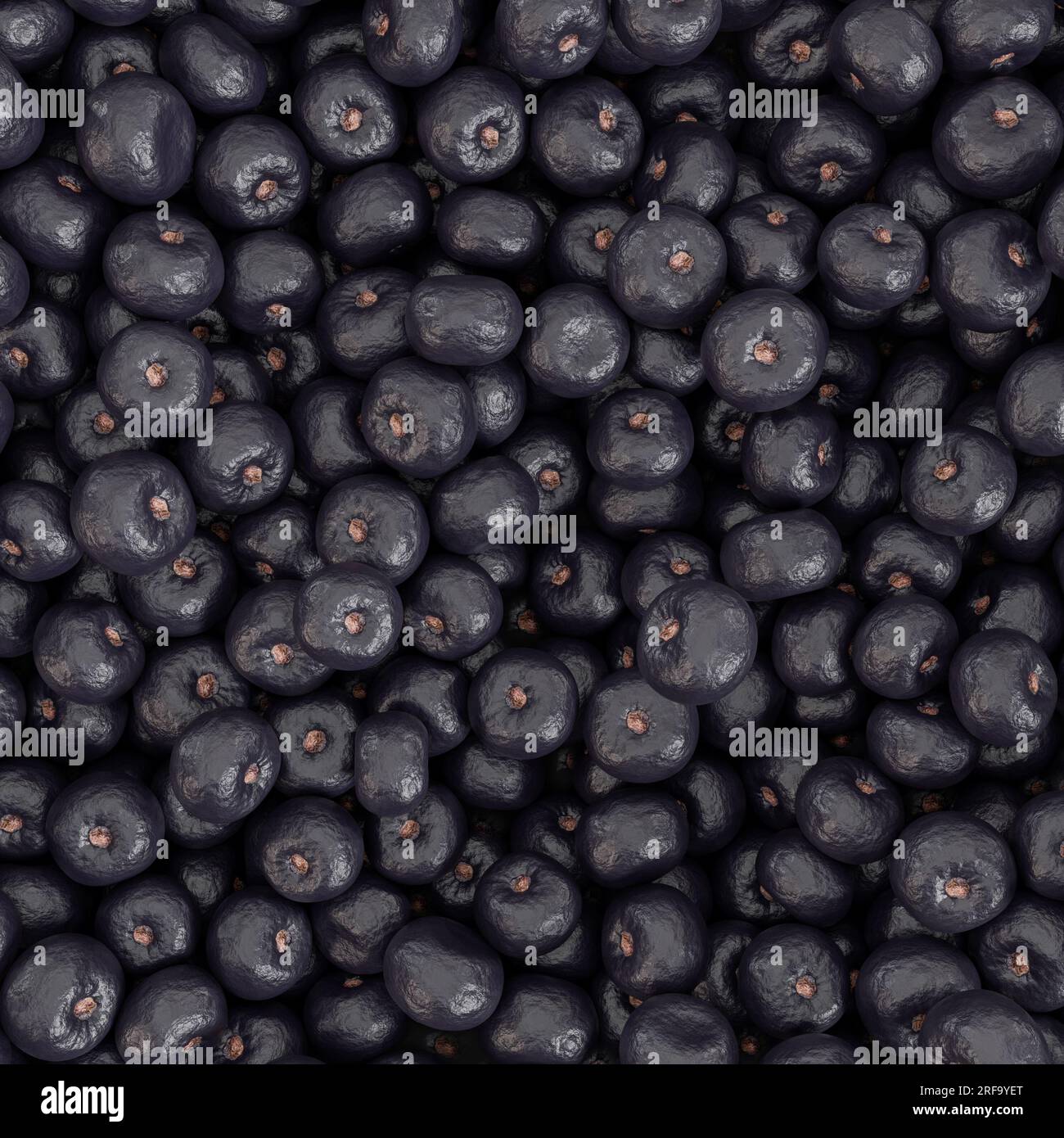 açaí Acai Berry aus dem Amazonas. Perfektes Acai Stockfotografie - Alamy