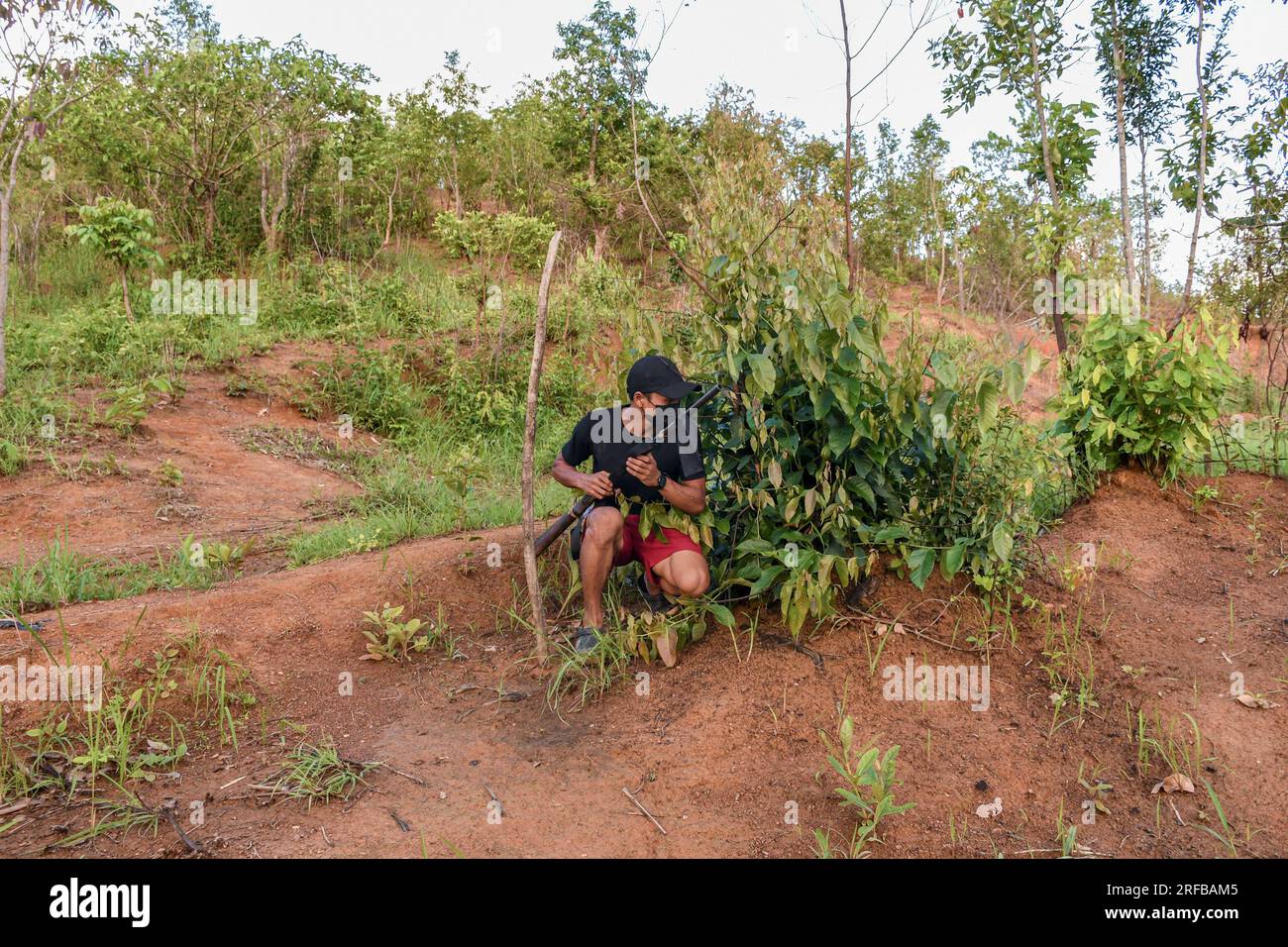 Kuki jugend -Fotos und -Bildmaterial in hoher Auflösung – Alamy