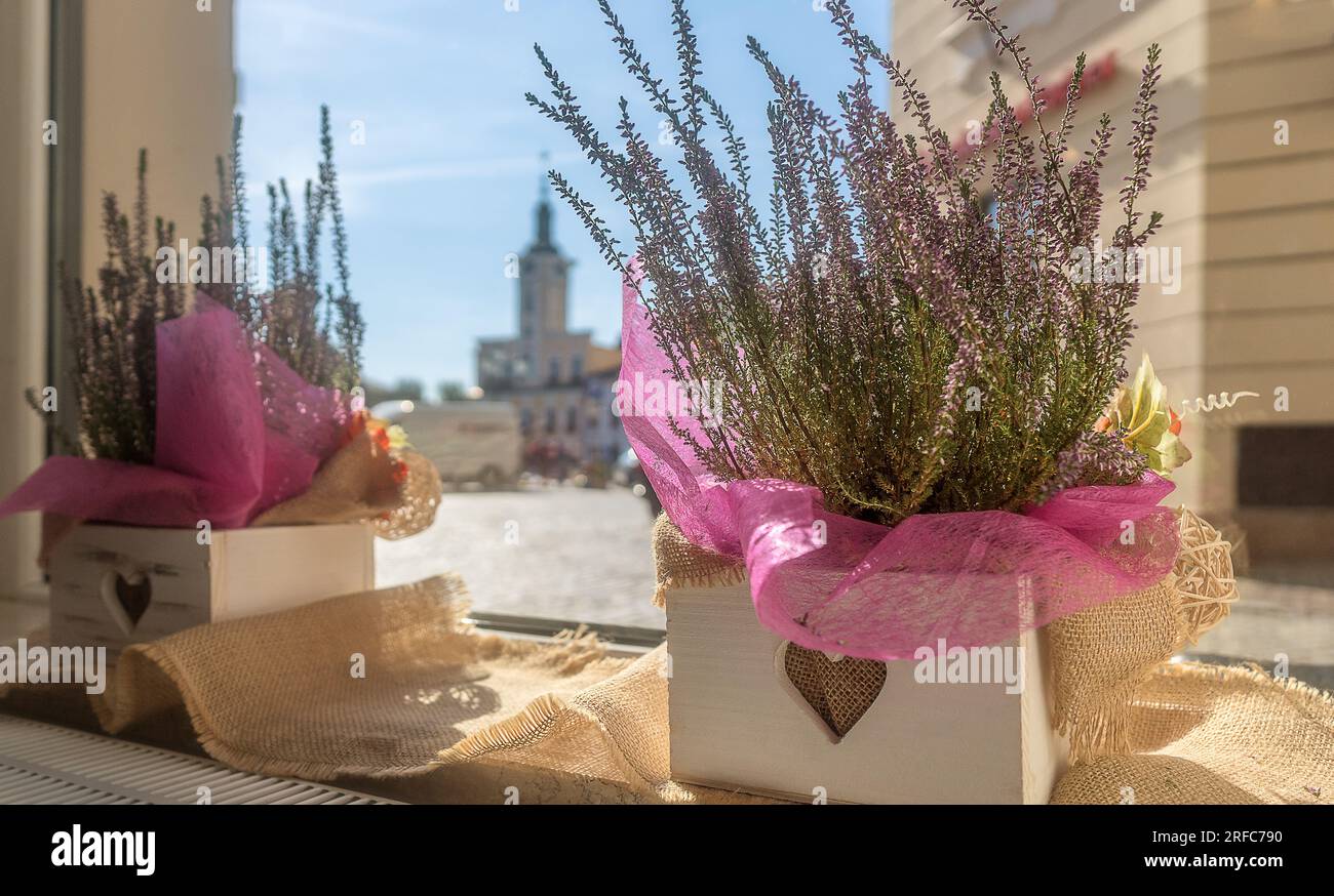 Blick durch das Café-Fenster auf den Marktplatz mit dem Rathaus im ...
