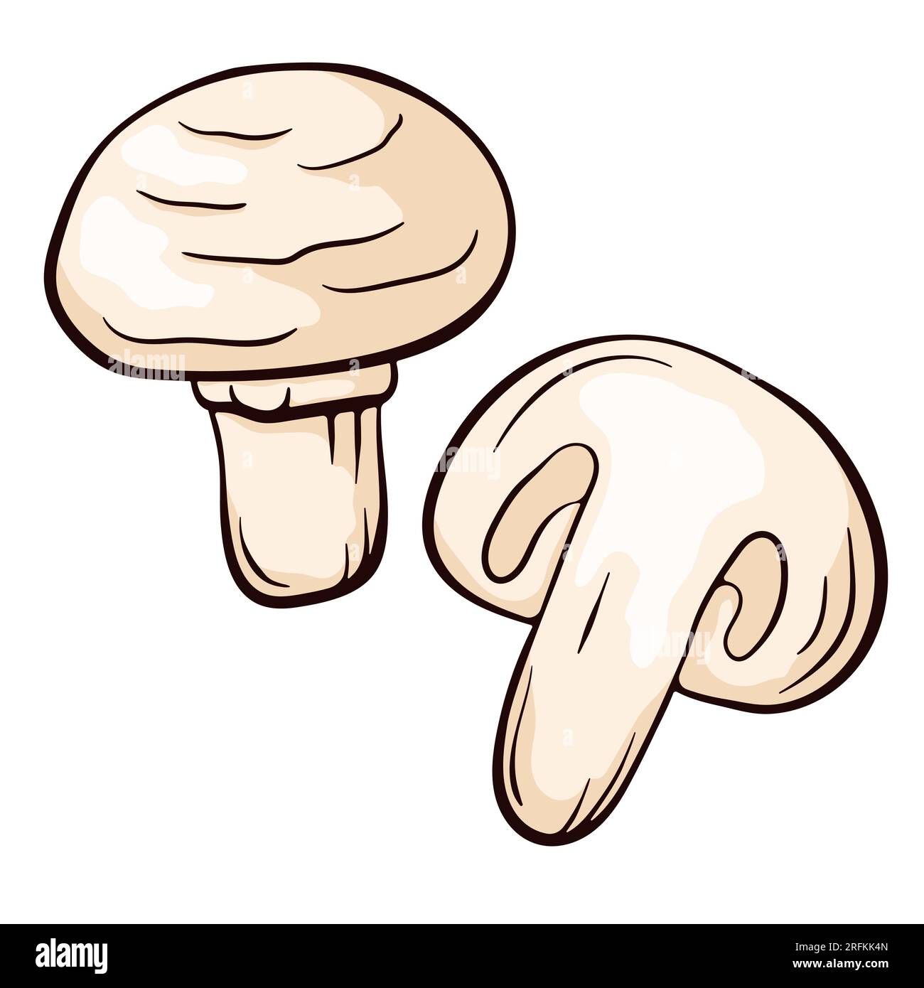 Pilze cartoon -Fotos und -Bildmaterial in hoher Auflösung – Alamy