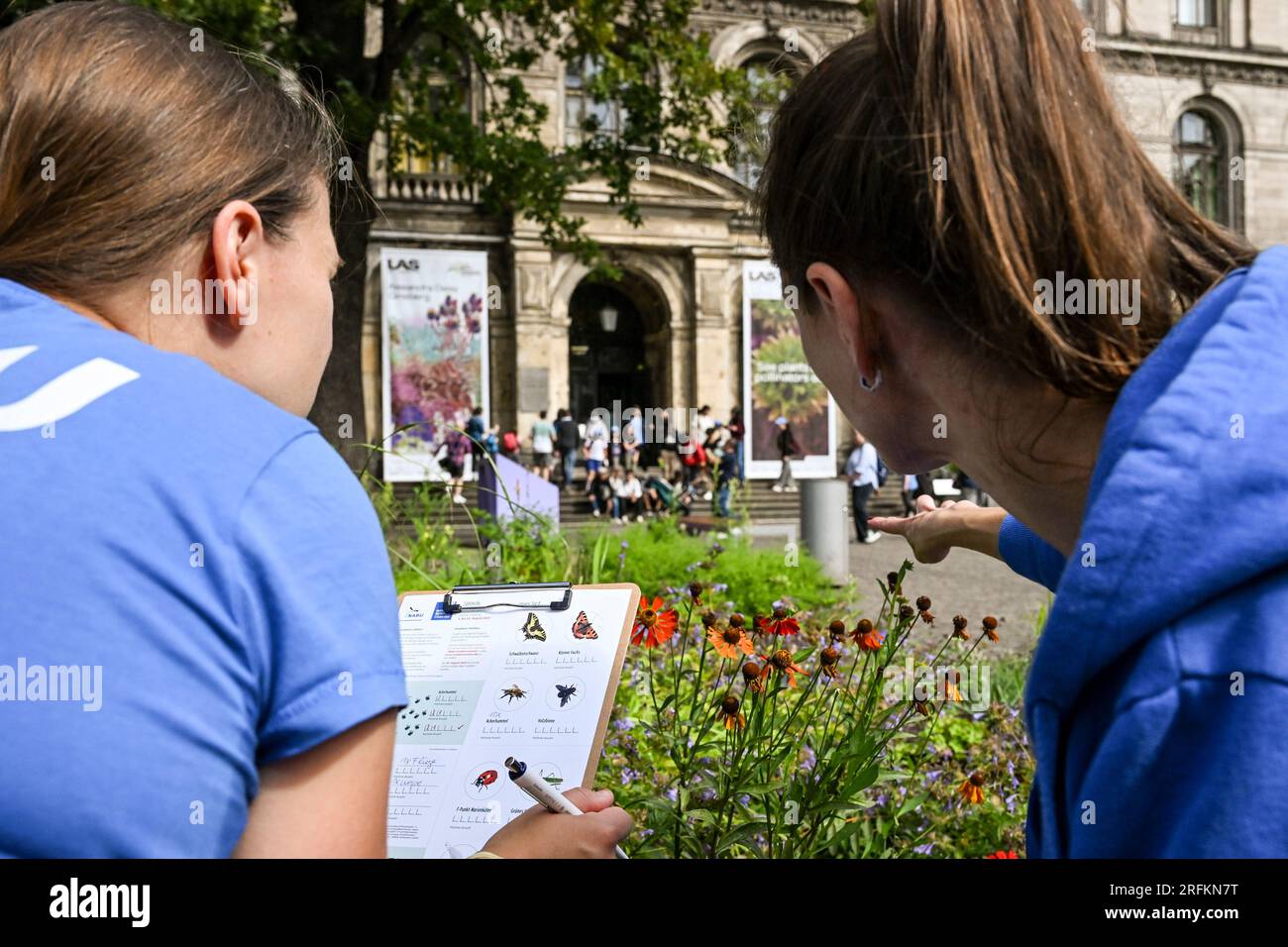 Berlin, Deutschland. 04. Aug. 2023. Insektenexpertin Laura Breitkreuz ...