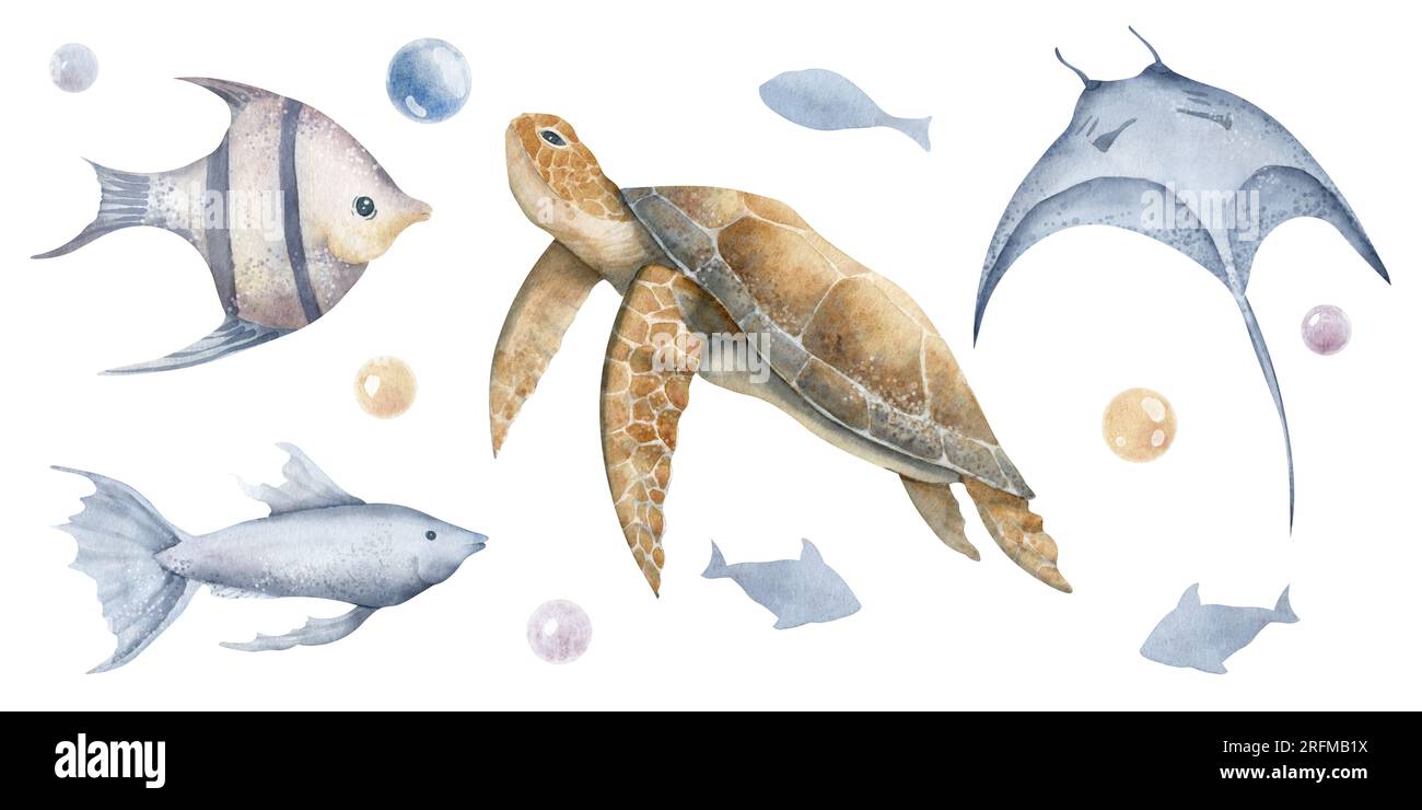 Meerestiere mit Schildkröten und Fischen. Handgezeichnete ...
