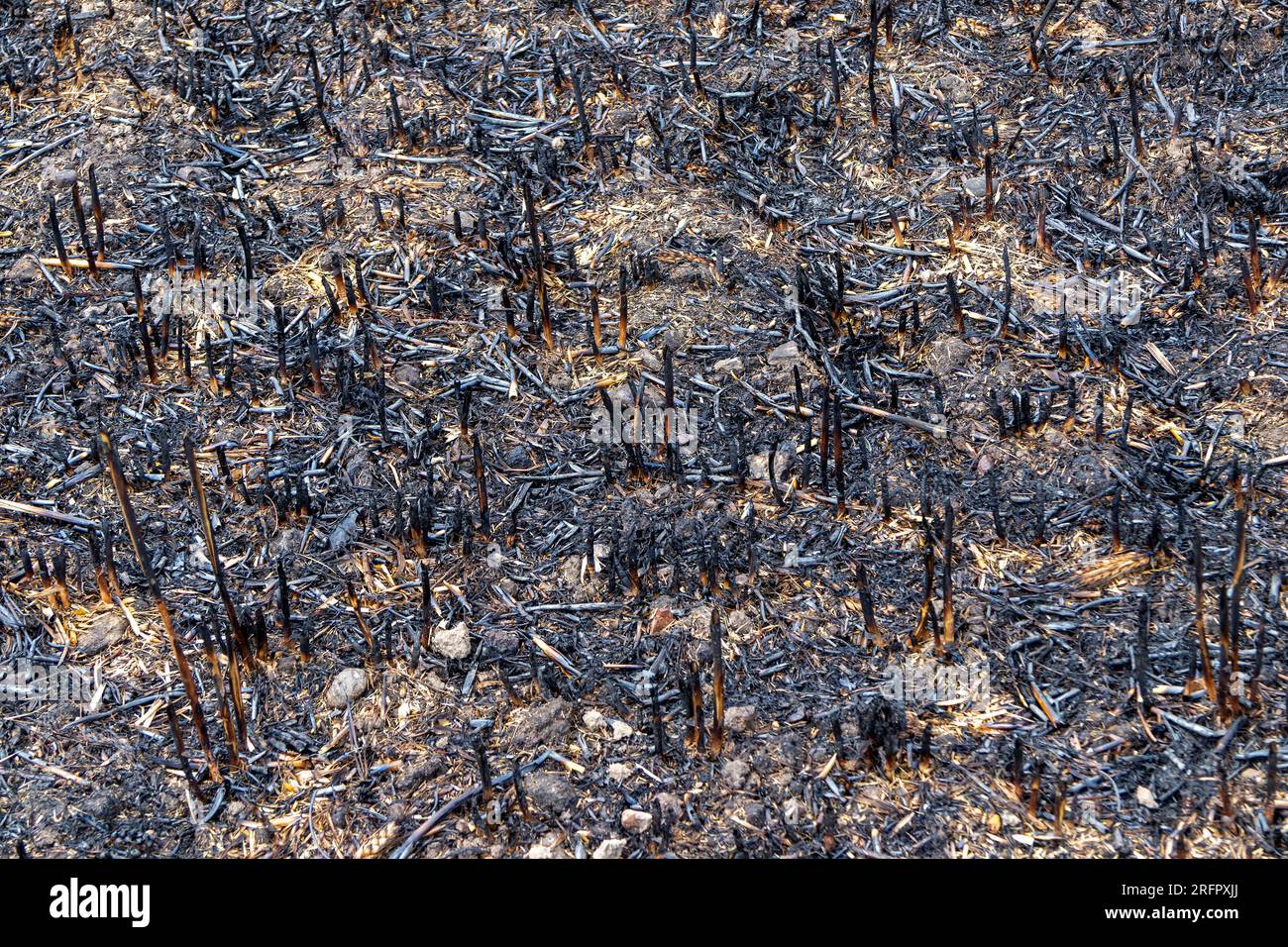 Burnt field -Fotos und -Bildmaterial in hoher Auflösung – Alamy