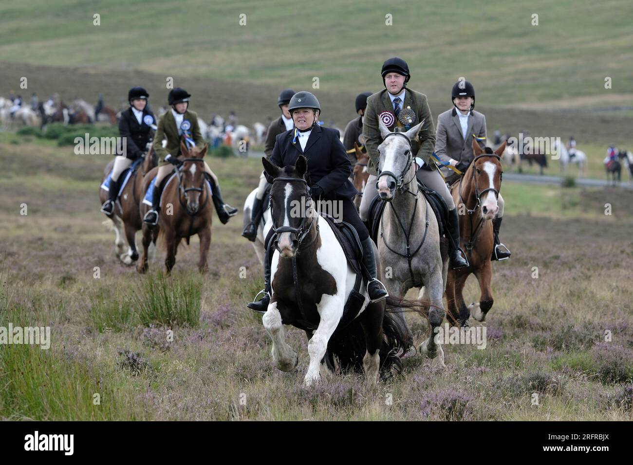 Lauder common riding 2023 -Fotos und -Bildmaterial in hoher Auflösung ...