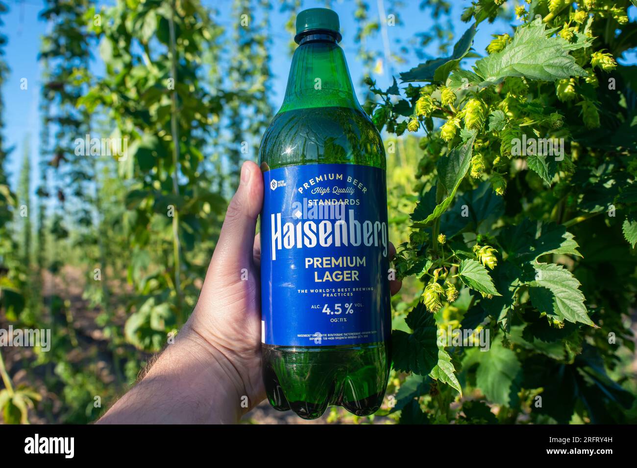 KIEW, UKRAINE - 03. August 2023: Heisenberg - neues Craft-Bier in der ...