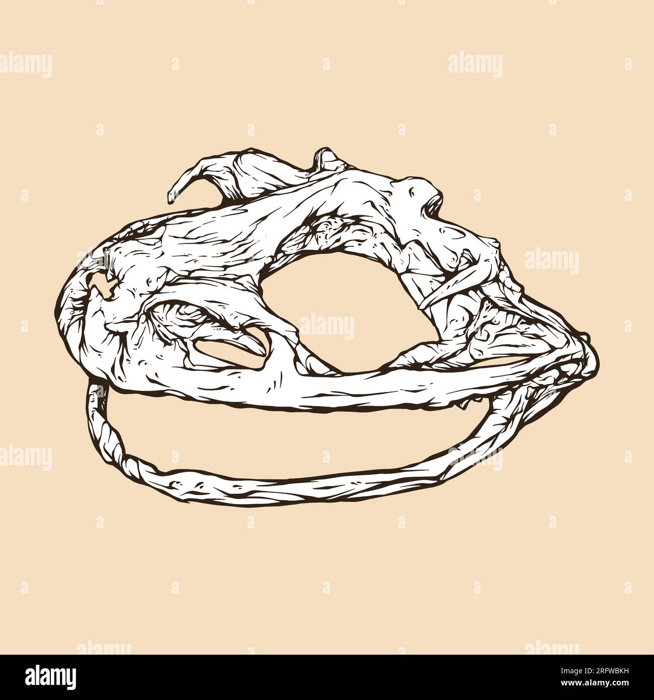 Goliath frog Stock-Vektorgrafiken kaufen - Alamy