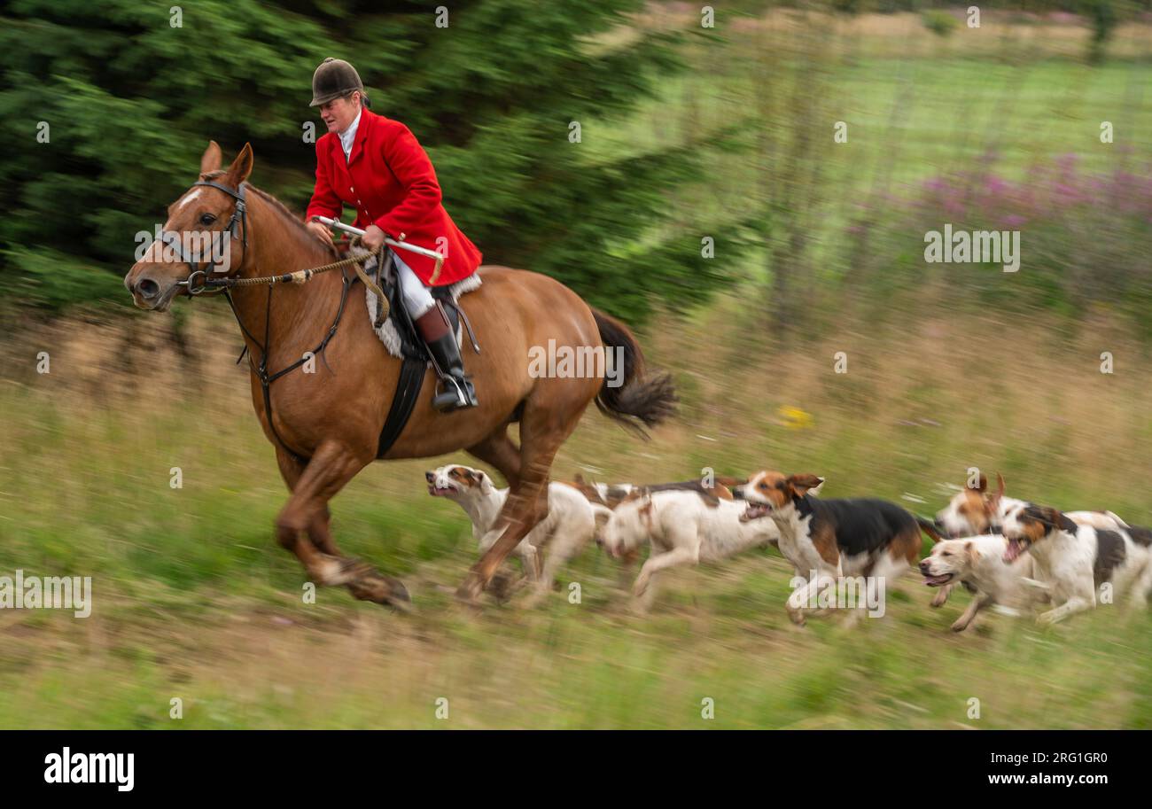 Lauder, Großbritannien. 05. Aug. 2023. Lauder, Schottische Grenzen ...