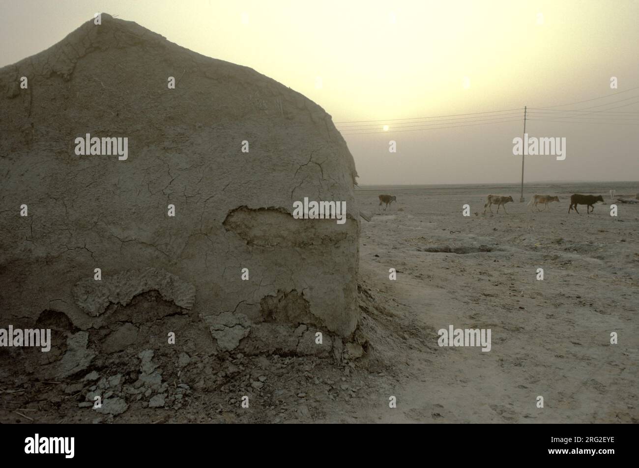 Tigris euphrates marsh -Fotos und -Bildmaterial in hoher Auflösung – Alamy