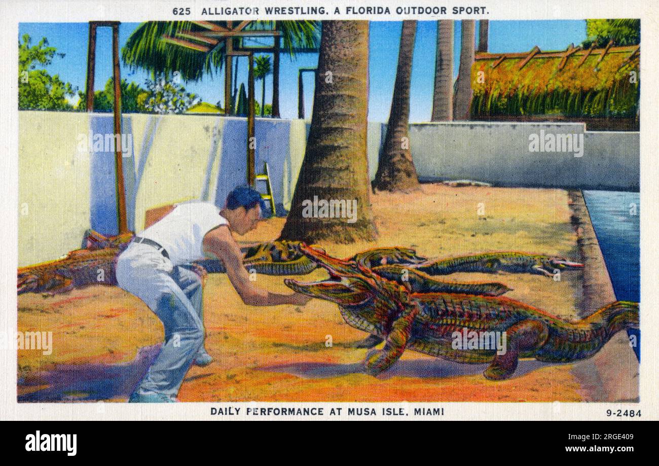 Wrestling geschichte -Fotos und -Bildmaterial in hoher Auflösung – Alamy