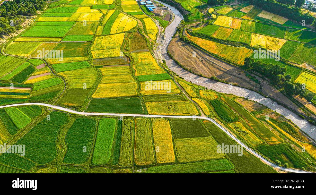 Beste Ernte Herkunft China