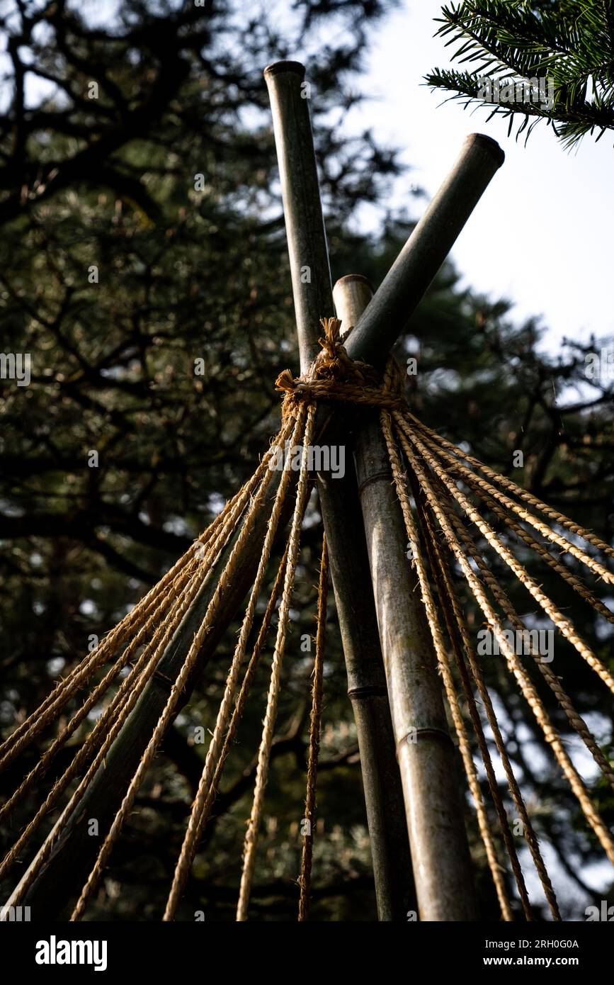 Yukitsuri seile -Fotos und -Bildmaterial in hoher Auflösung – Alamy