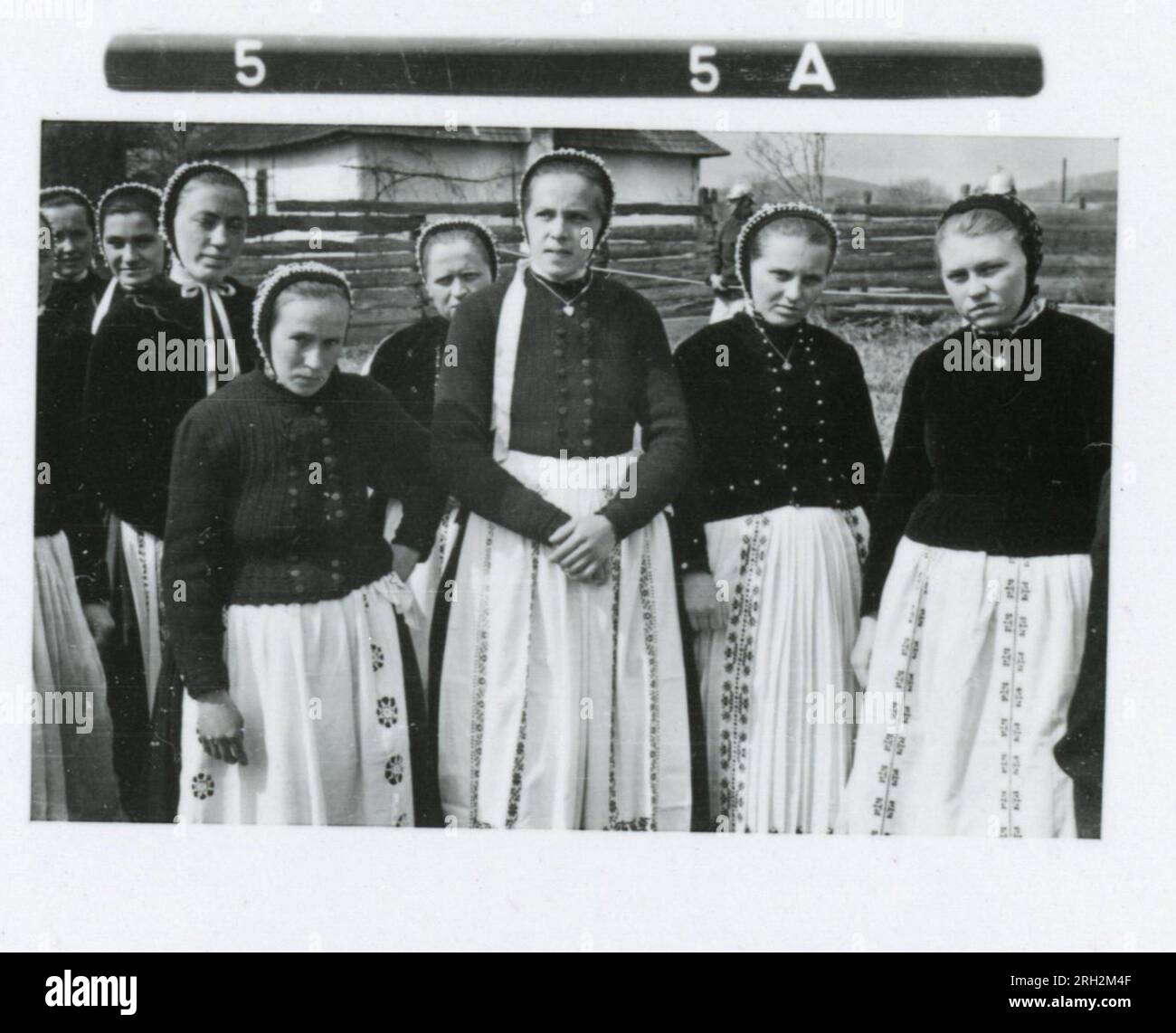 SS-Fotograf, Fritsch, Rumänien, Kavallerie, Russland 1943-44 rumänische ...