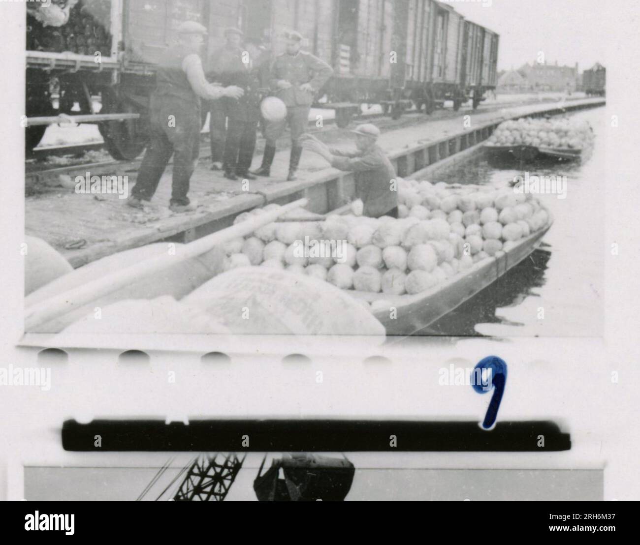 SS-Fotograf, Gösling, Jobst (Leibstandarte Adolf Hitler, Berlin ...