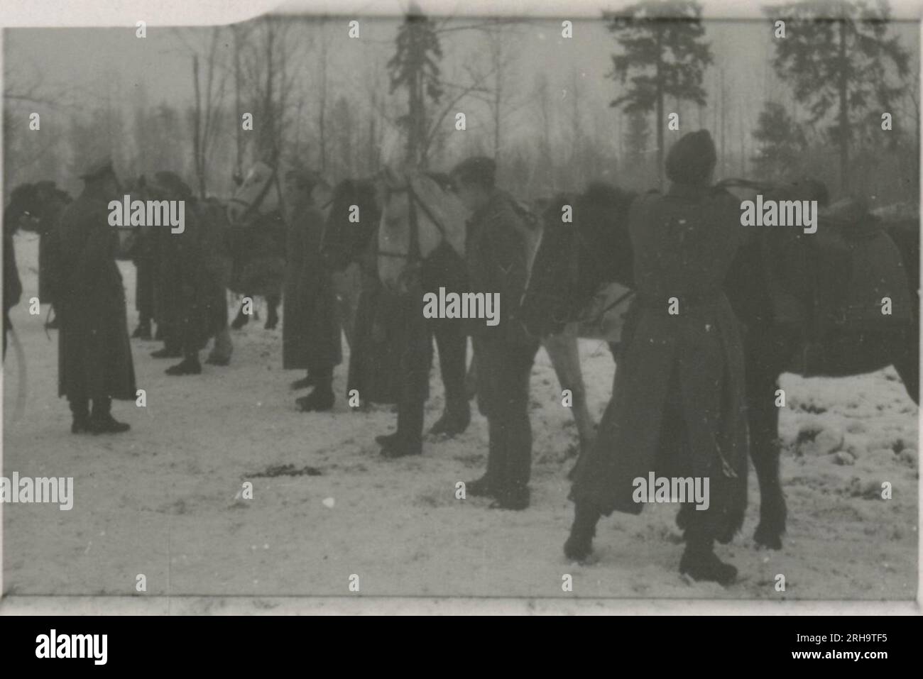 SS-Fotograf, Hoffmann, Rudi (1943-44) Soldaten, die sich medizinischen ...