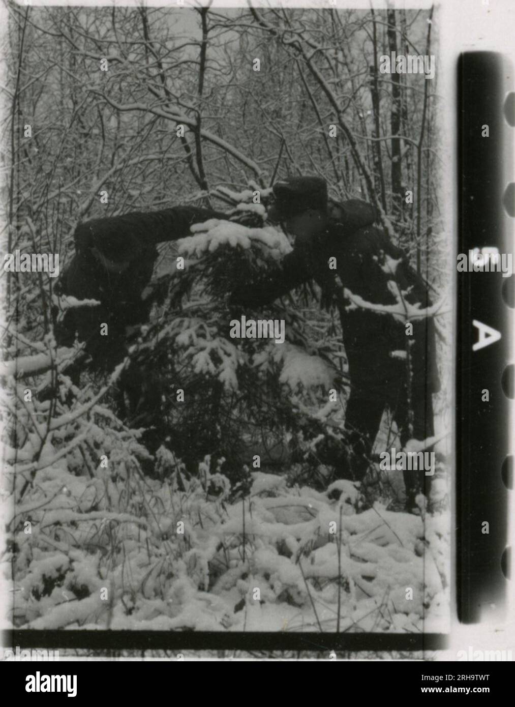 SS-Fotograf, Hoffmann, Rudi (1943-44) Soldaten, die sich medizinischen ...