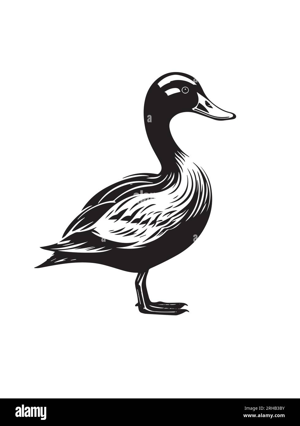 Krokodil umriss Stock-Vektorgrafiken kaufen - Alamy