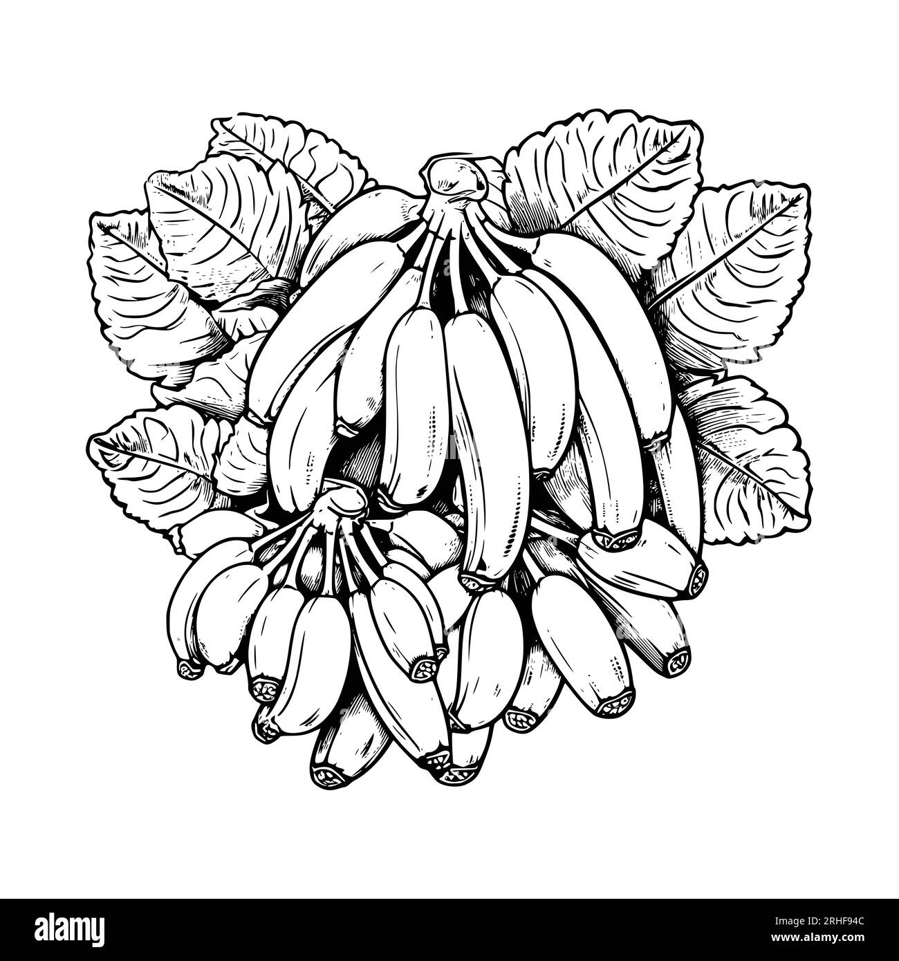 Tanzende banane Stock-Vektorgrafiken kaufen - Alamy