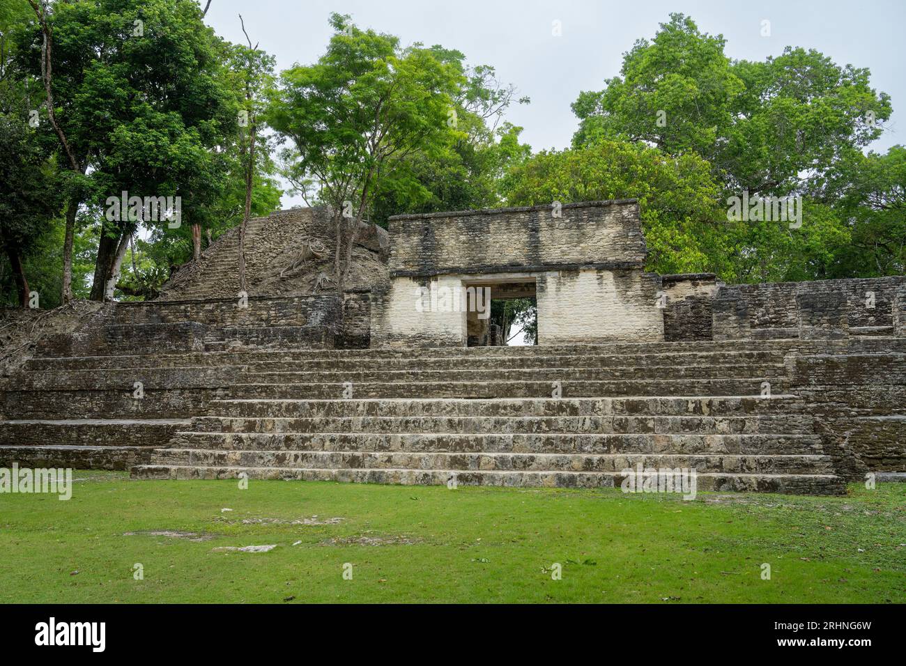Struktur a1 -Fotos und -Bildmaterial in hoher Auflösung – Alamy
