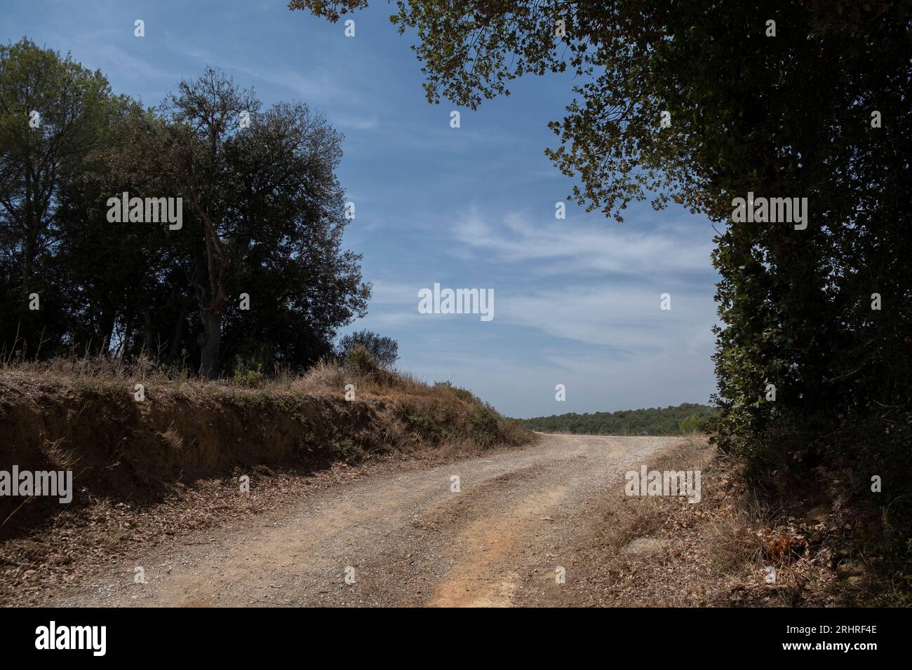 Girona, Katalonien, Spanien. August 2023. Die Forststraße, die Colomers ...