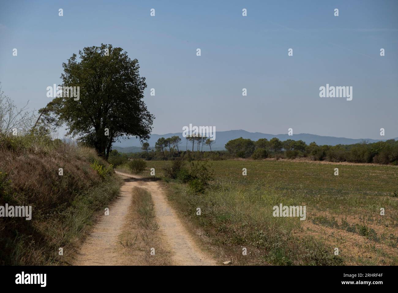 Girona, Katalonien, Spanien. August 2023. Die Forststraße, die Colomers ...