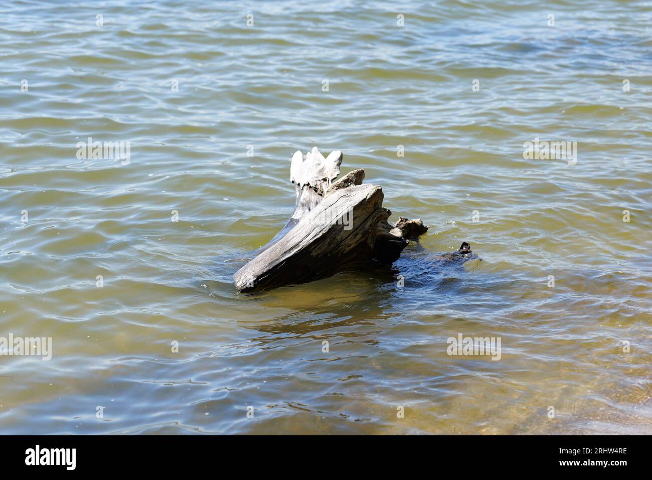Maritimes wunder -Fotos und -Bildmaterial in hoher Auflösung – Alamy