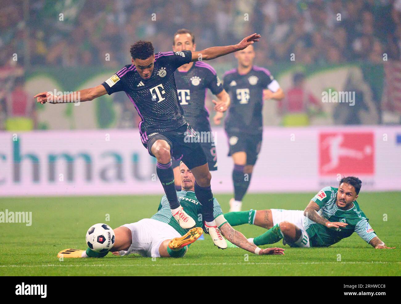 Bremen, Deutschland. August 2023. Jamal MUSIALA, FCB 42 konkurrieren um ...