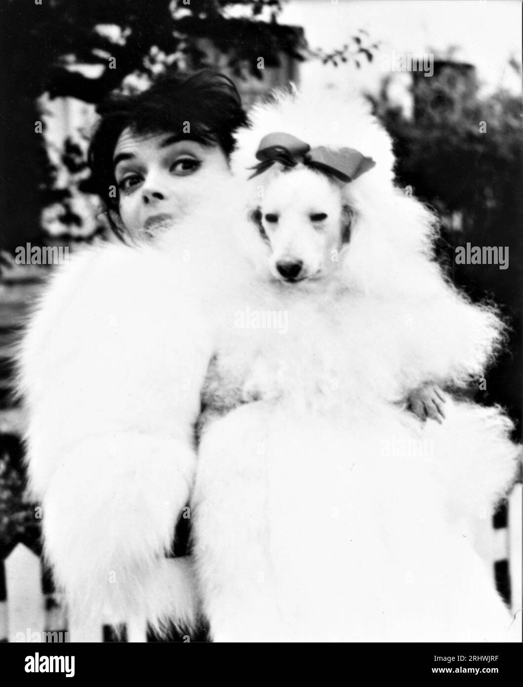 Barbara steele -Fotos und -Bildmaterial in hoher Auflösung – Alamy