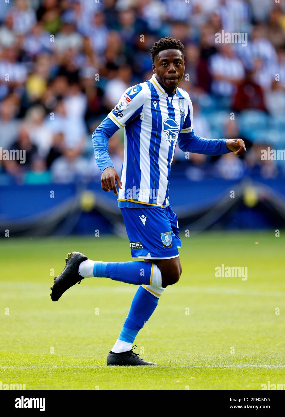 Anthony musaba -Fotos und -Bildmaterial in hoher Auflösung – Alamy