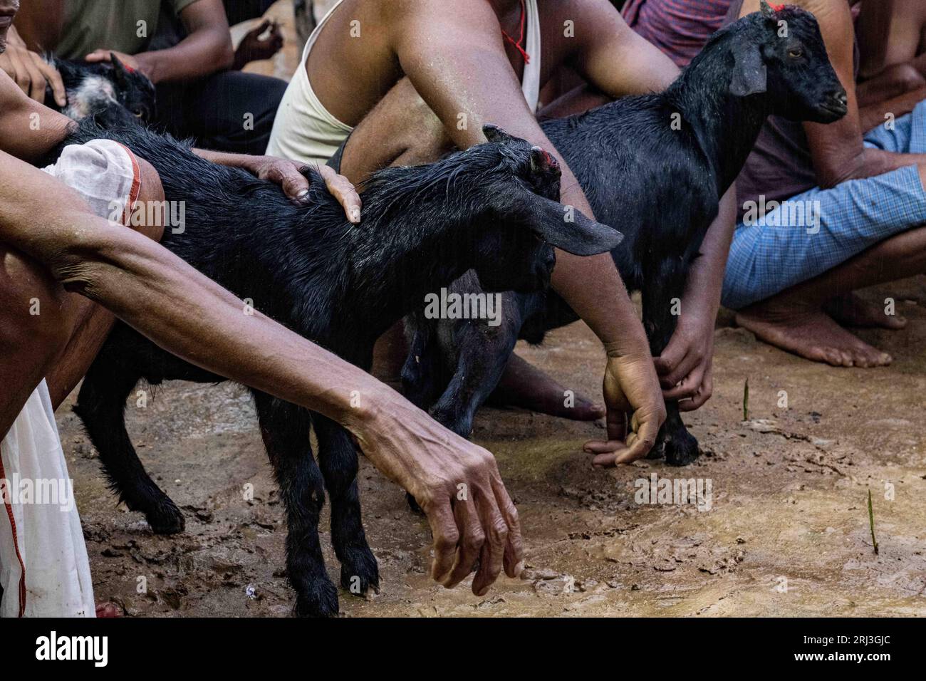 Monosa puja -Fotos und -Bildmaterial in hoher Auflösung – Alamy