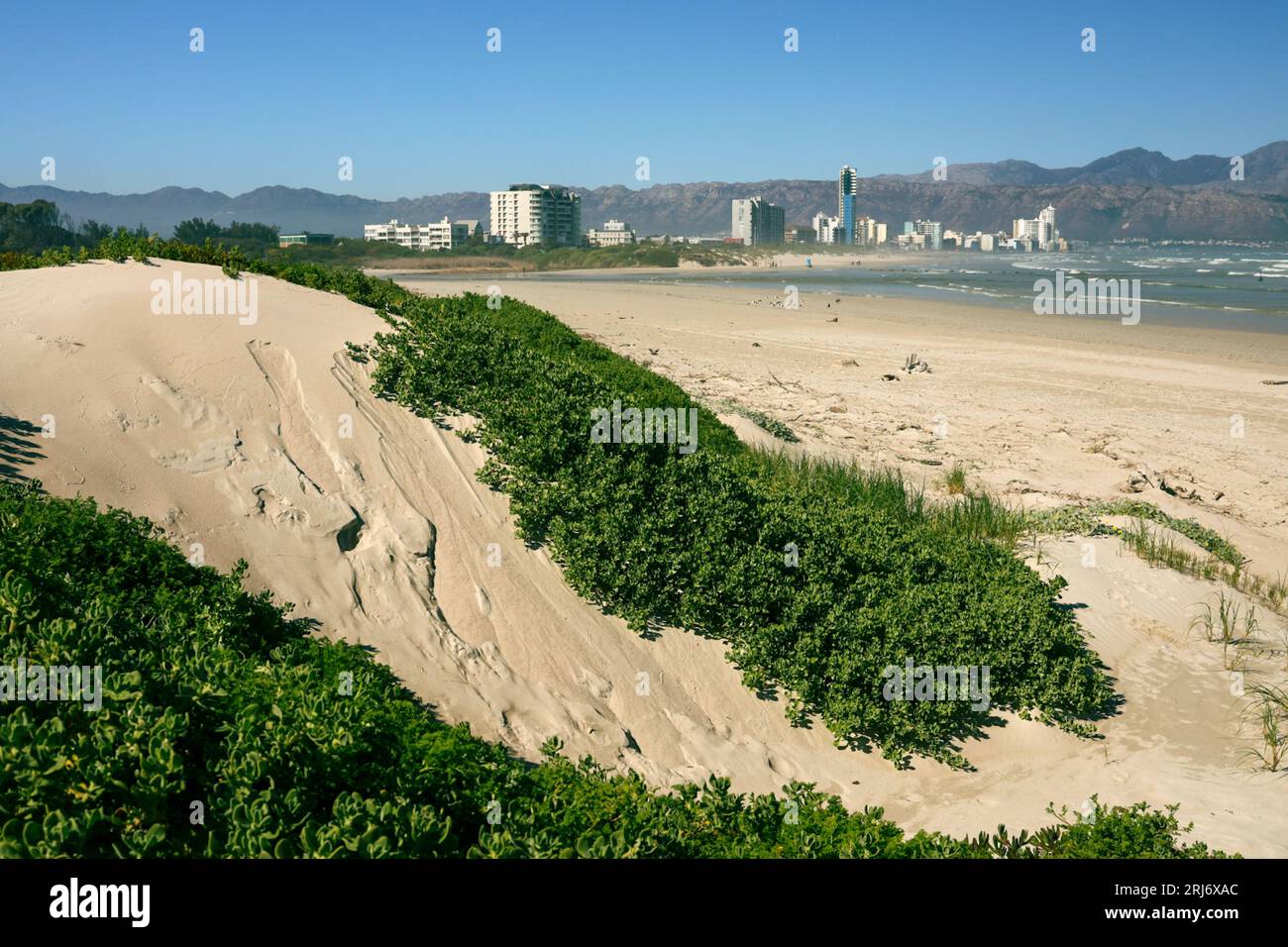 Strand vegetation -Fotos und -Bildmaterial in hoher Auflösung – Alamy