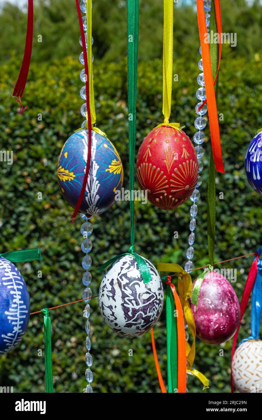 Bemalte Eier hängen an den Zweigen des Osterbaums. Der Fokus liegt auf ...