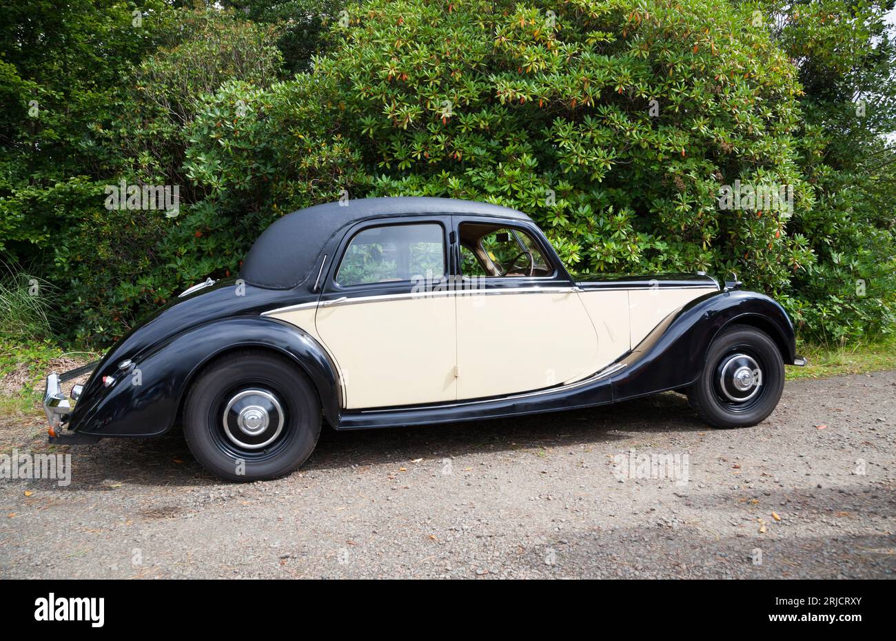 Klassischer riley -Fotos und -Bildmaterial in hoher Auflösung – Alamy